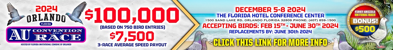 FancyPigeonAuction.com Live Online Auction - Auctions